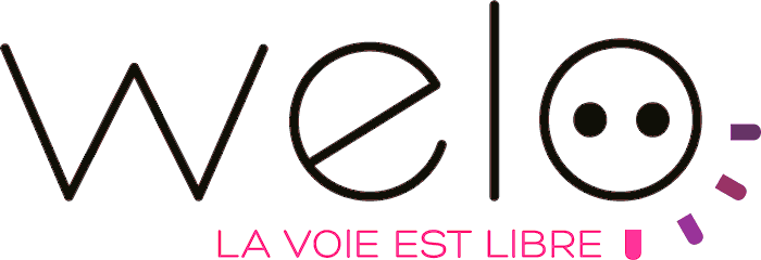 2016 06 Welo – Robot Makers'Day